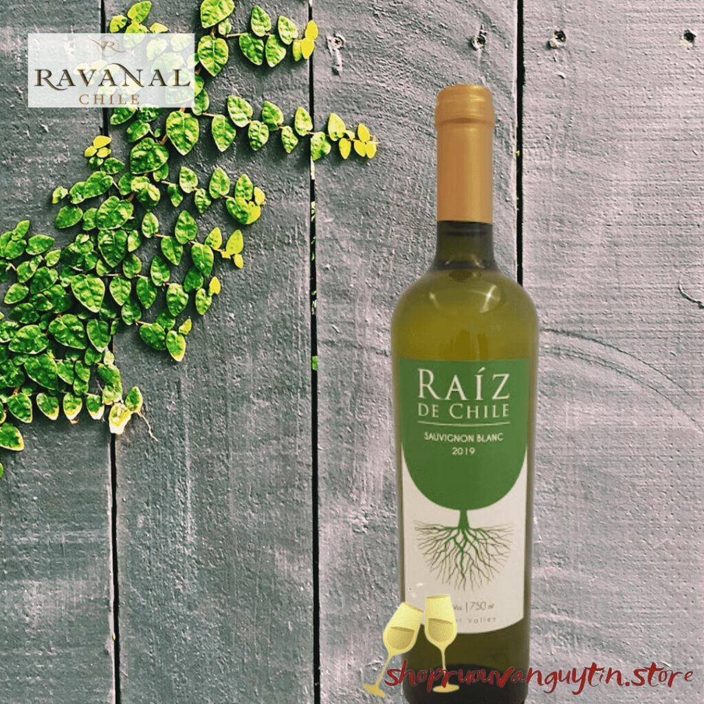 Raíz de Chile Sauvignon Blanc - shopruouvanguytin.com