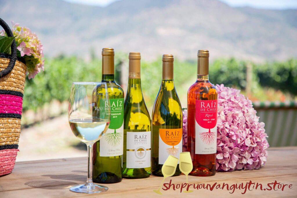 Raíz de Chile Sauvignon Blanc - shopruouvanguytin.com
